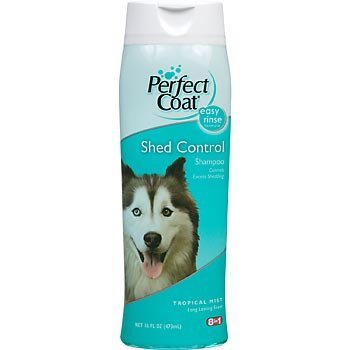 The 7 Best Shed Control Dog Shampoos (Answered by a Local Expert)